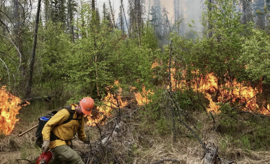 Helena hotshot crew helping fight largest Alberta wildfire