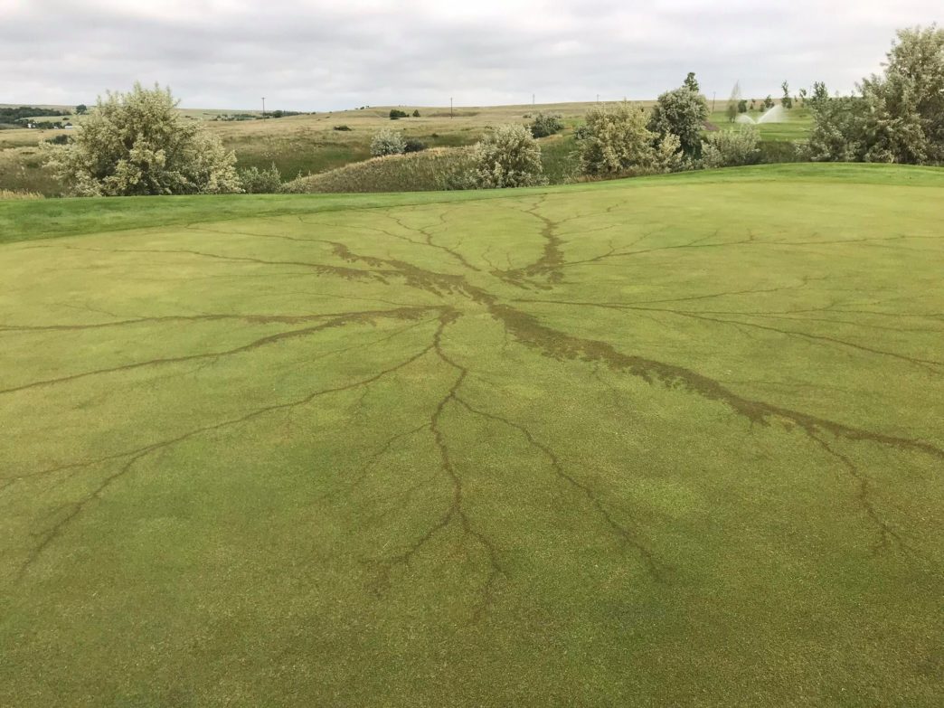 Lightning strikes golf course in Sidney