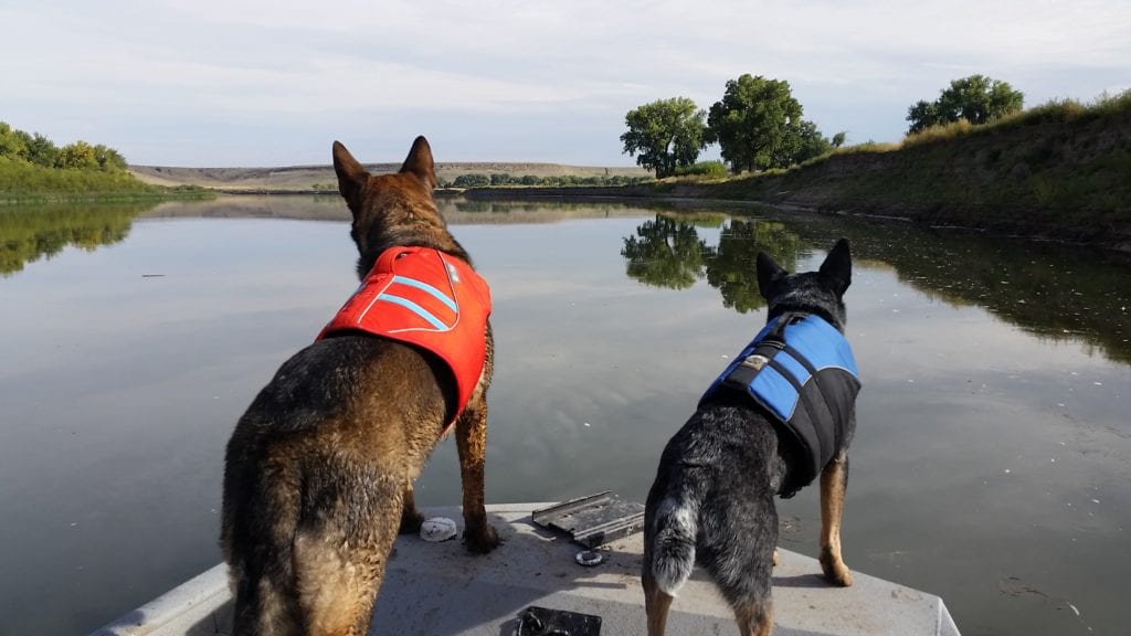 True North Search Dogs provide resources, hope in Montana
